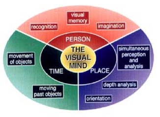 Common Causes of Visual Loss in Children